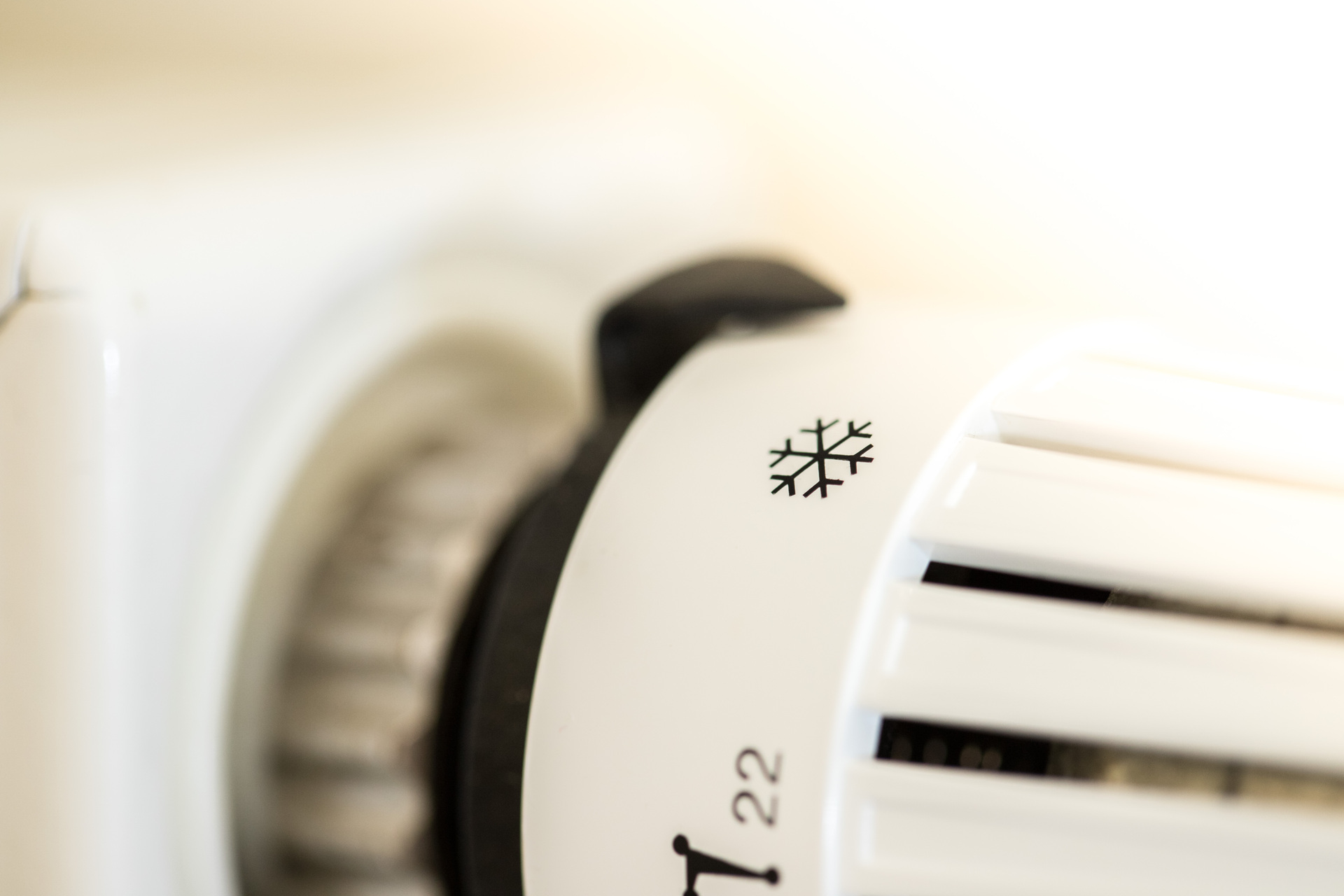 Hybrid Heating Systems: Aerothermal Energy and Biomass